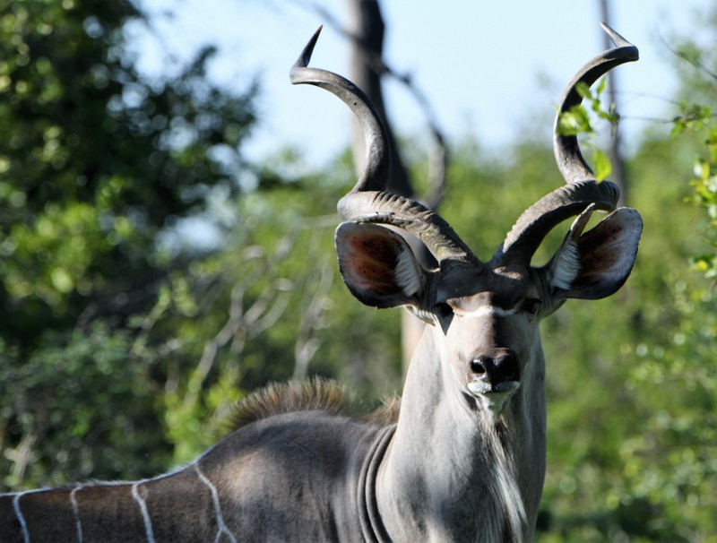 Leads 2 Business Blog